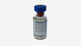 Nobivac Dhppi - Alfa Med Ltd